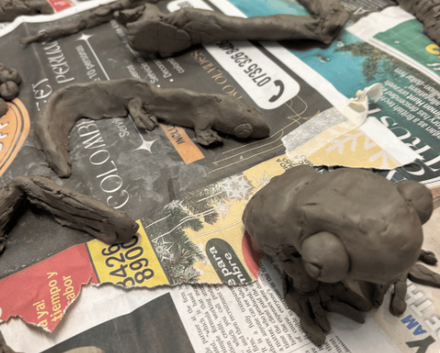 Make your own clay amphibian and reptile-inspired diorama - Telegraph ...